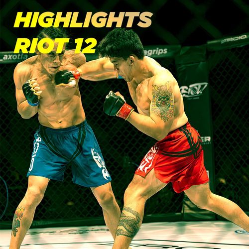 Riot Fight League | Liga de Artes Marciales Mixtas en México